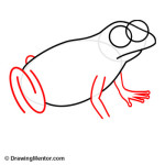 How to Draw a Frog Tutorial