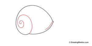 How to Draw a Snail Tutorial - Drawing Mentor