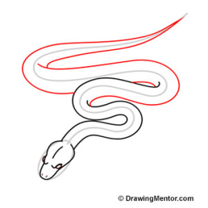 How to Draw a Snake