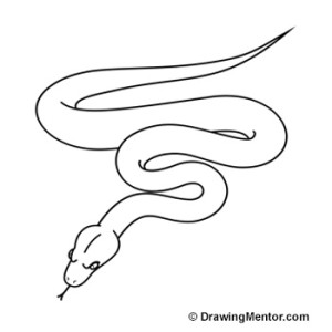 How to Draw a Snake